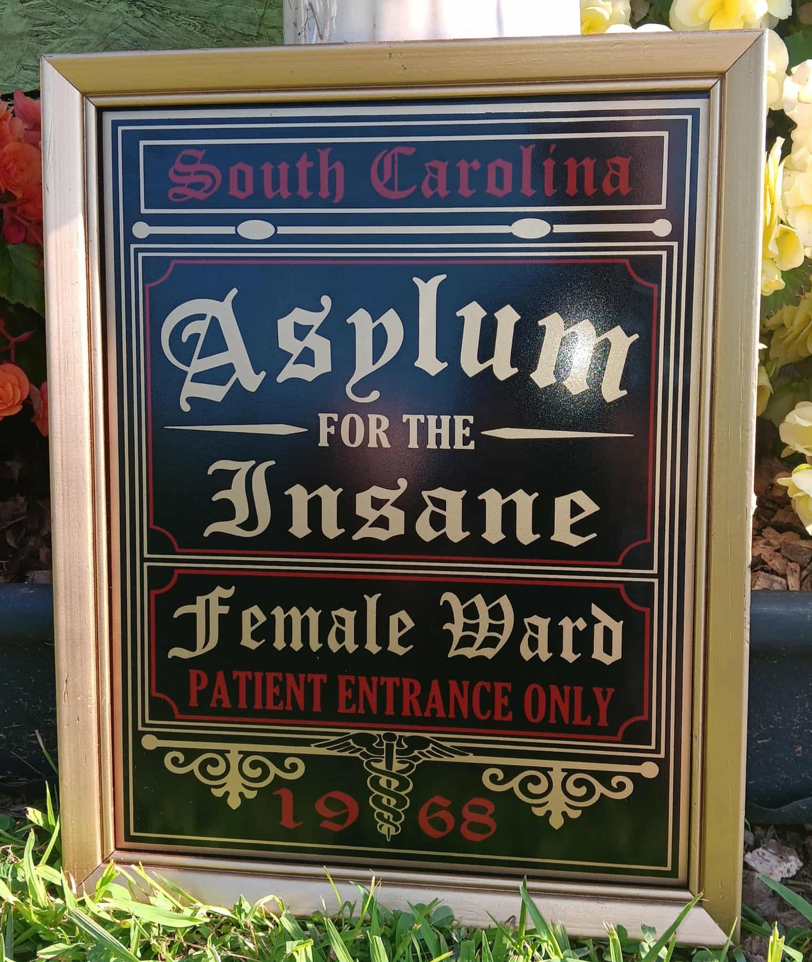 Customizable State Insane Asylum Sign ' Framed Mental Hospital Sign - Etsy