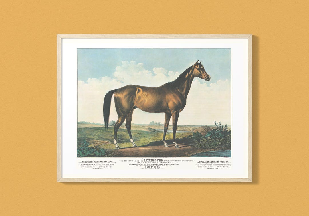 Lexington Horse Print | 9x12, 18x24 or 36x48 Size Prints | Unframed ...