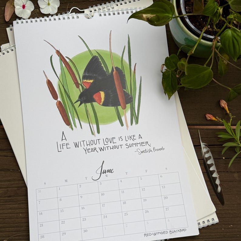 ACADEMIC YEAR 2026-27 | Birds of North America Wall Calendar 11x16.5 ...