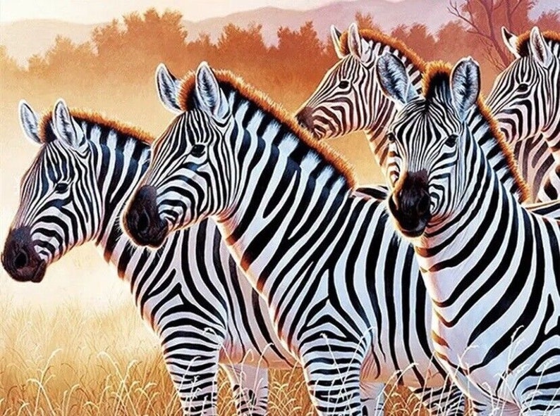 AU Seller Animal Zebra Diamond Painting SQUARE Kit - 40cms X 50cms - Etsy