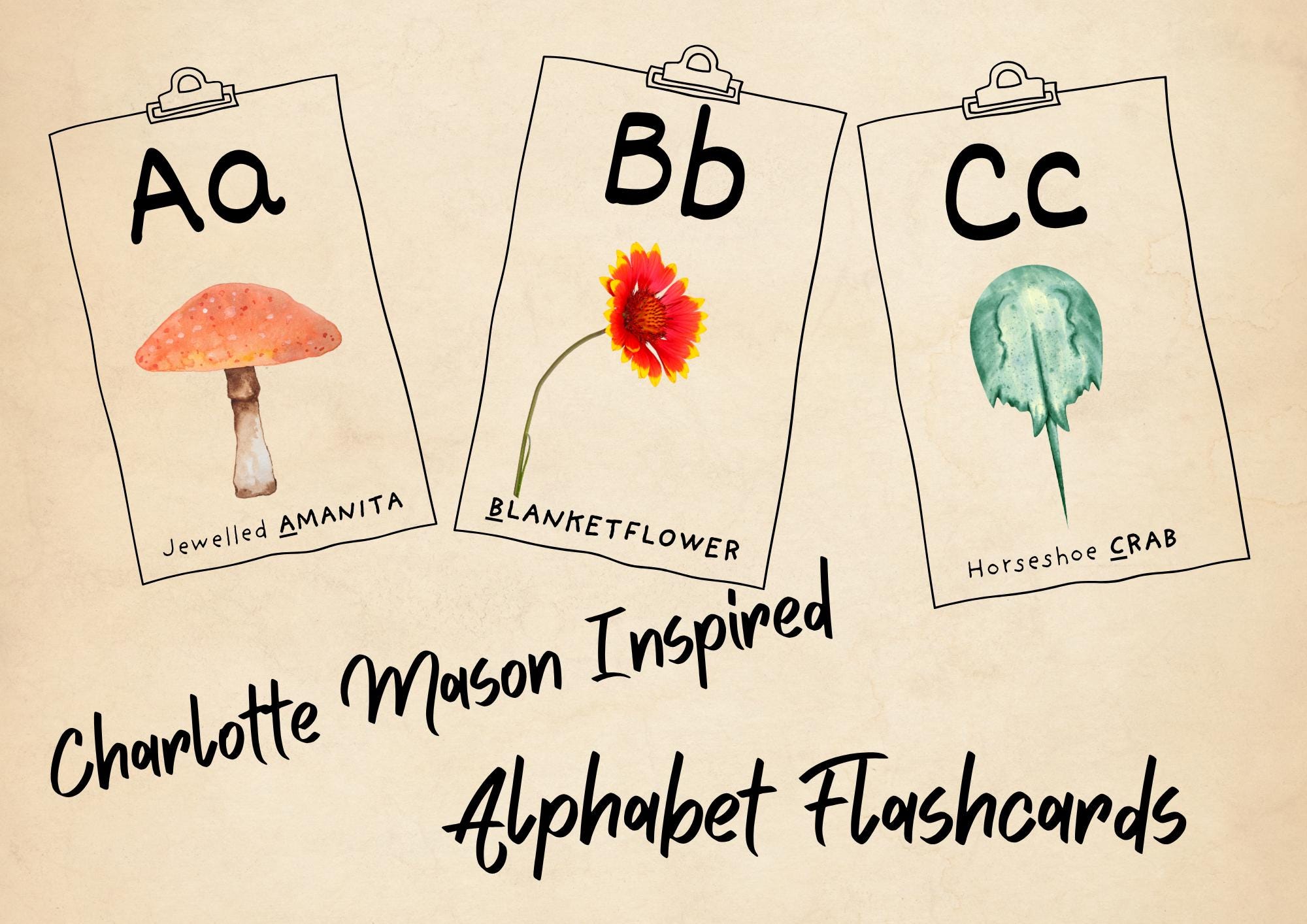 Charlotte Mason Inspired Alphabet Flashcards - Etsy