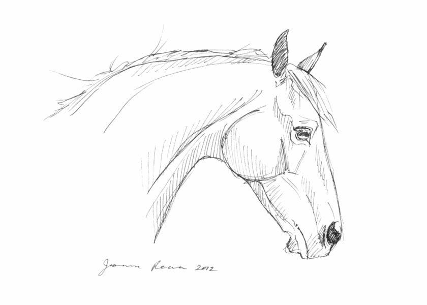 Horse Art Original Pen & Ink Horse Drawing Sketch head - Etsy