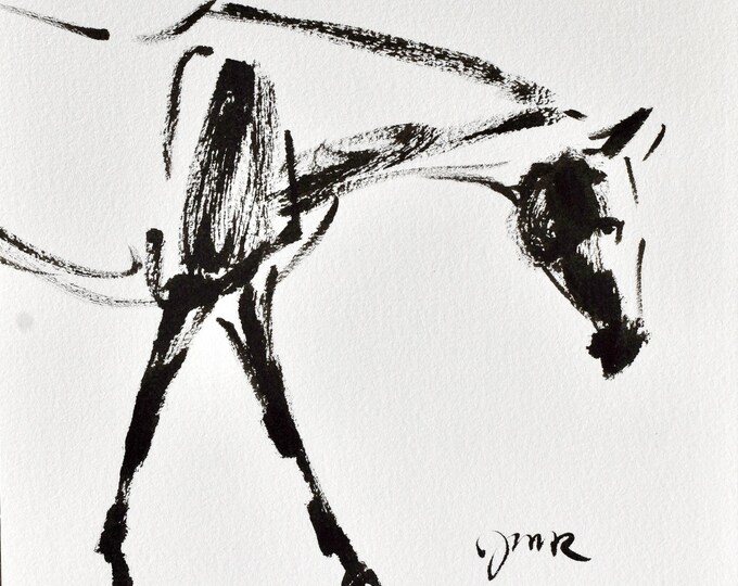 Horse Life Drawing "betty" Original Horse Sketch 5.5x5.5 Unframed Ink ...