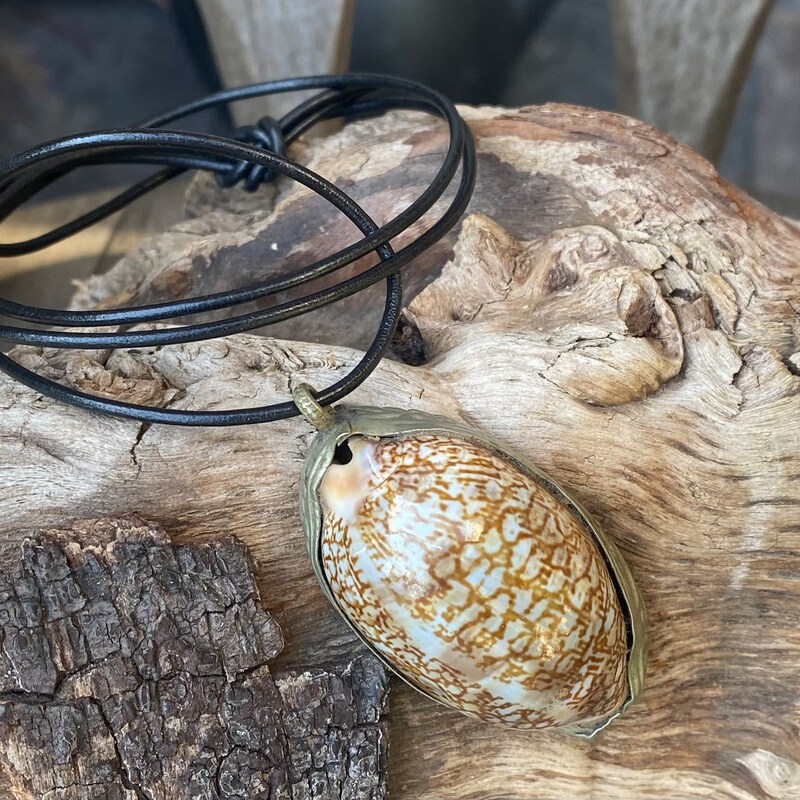 Cowrie Shell Pendant - Etsy