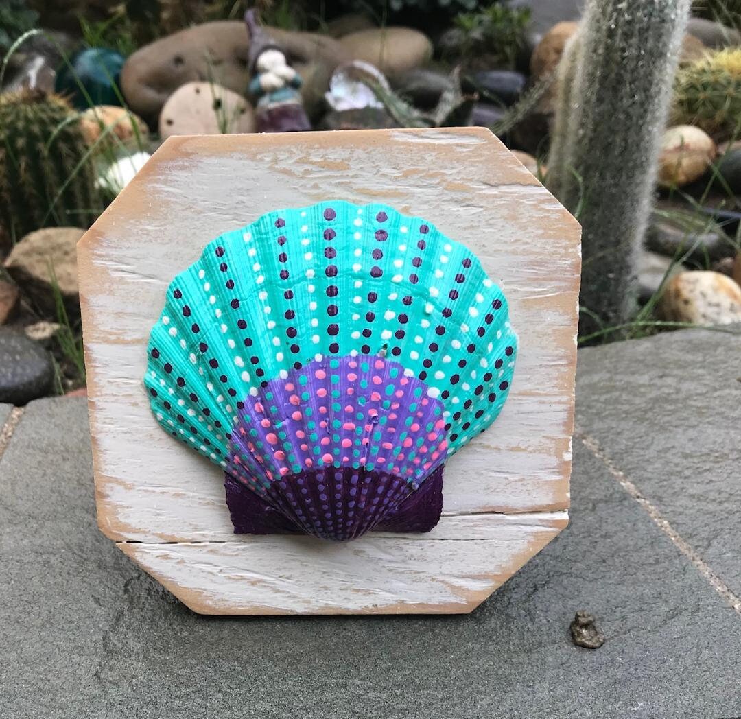 Hand Painted Sea Shell Mounted on Wood - Etsy