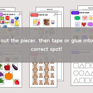 Sorting Activities Cut and Glue Pictures, Sorting Practice, Preschool ...