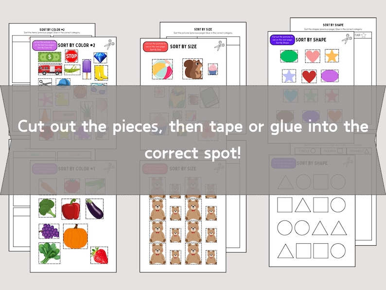 Sorting Activities Cut and Glue Pictures, Sorting Practice, Preschool ...