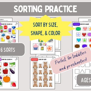 Sorting Activities Cut and Glue Pictures, Sorting Practice, Preschool ...