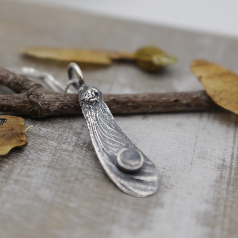 Maple Seed Pods - Etsy