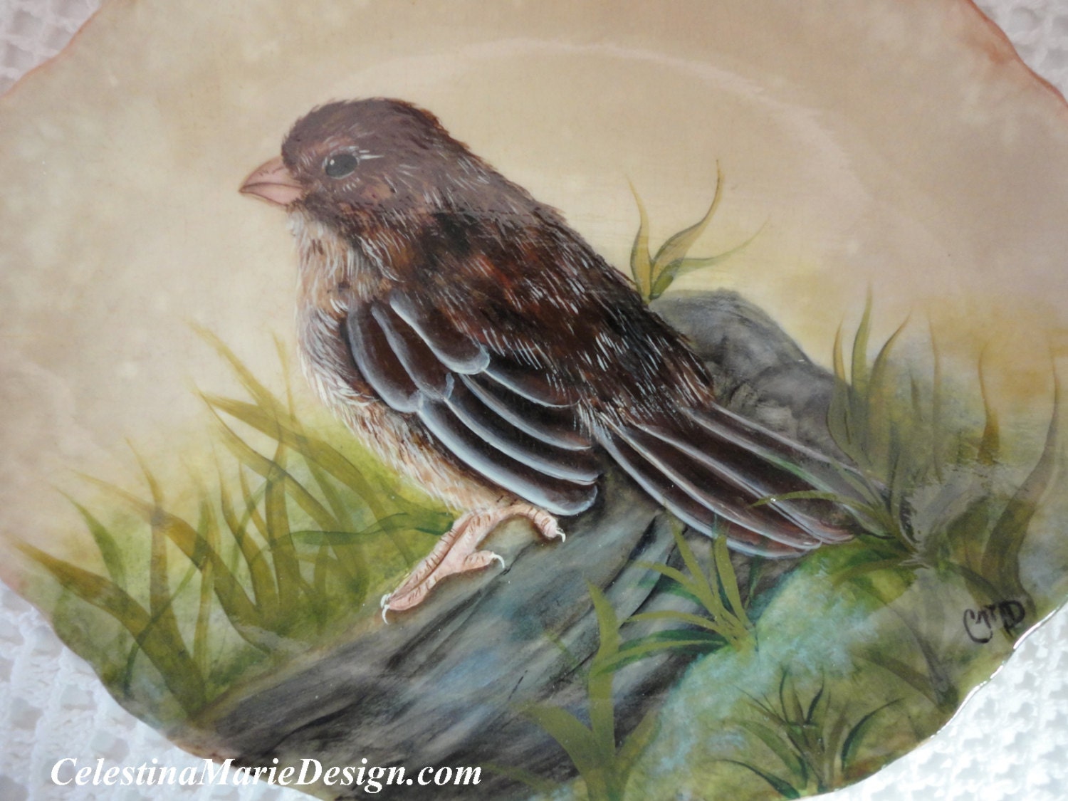 Sweet Sparrow Sitting on a Log Hand Painted on a Vintage | Etsy