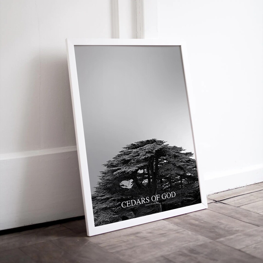Cedars of God | Cedars of Lebanon | High Quality Aluminum DIBOND ...