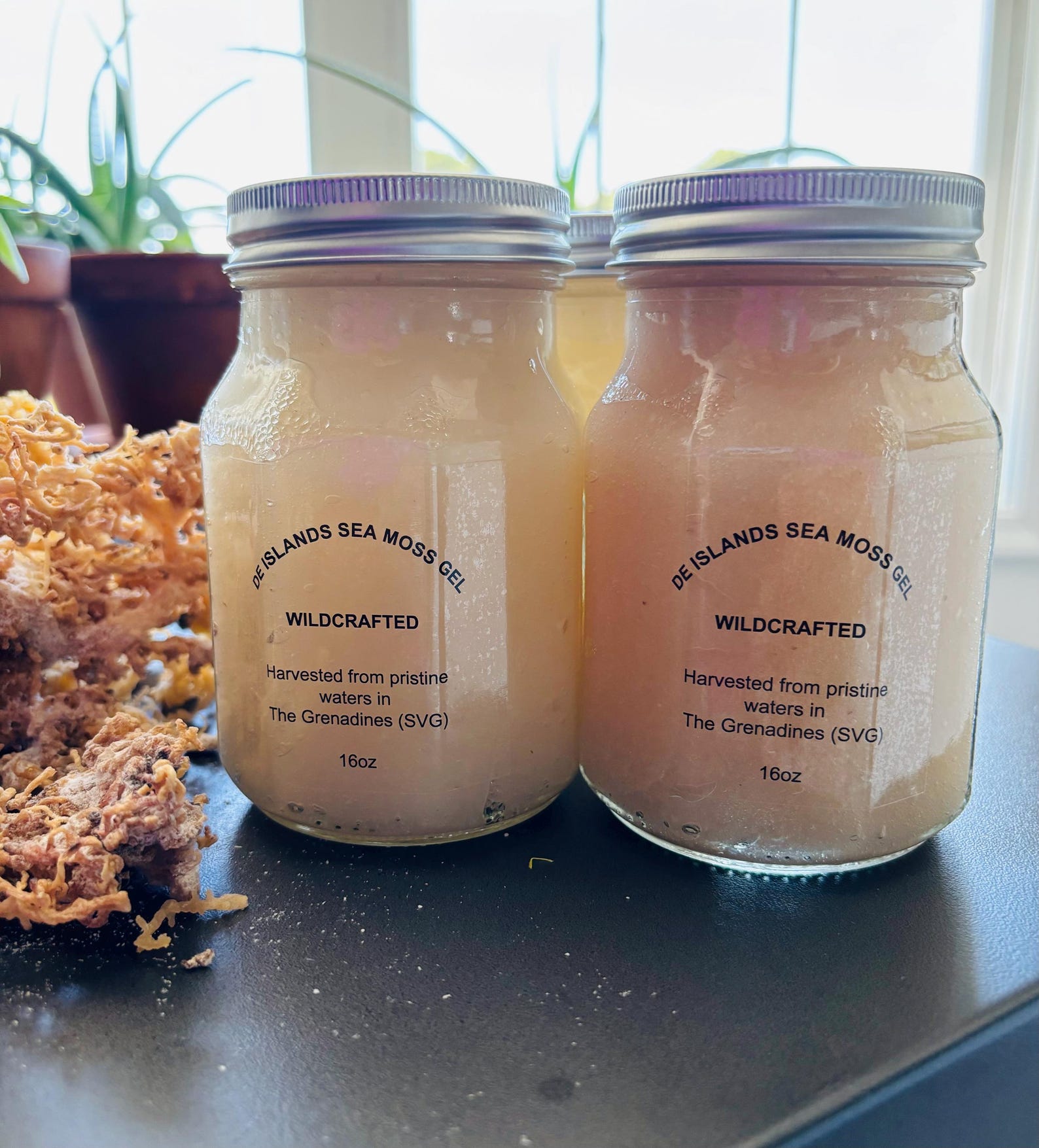 Wild Harvested Sea Moss Gel: Vegan Superfood - Etsy
