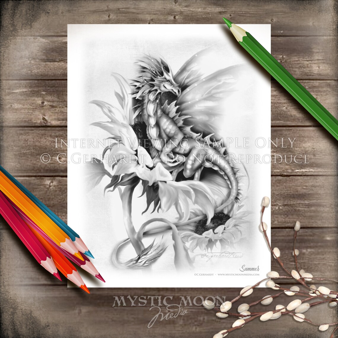 Digital Download Coloring Pages / Summer Dragon Coloring / | Etsy