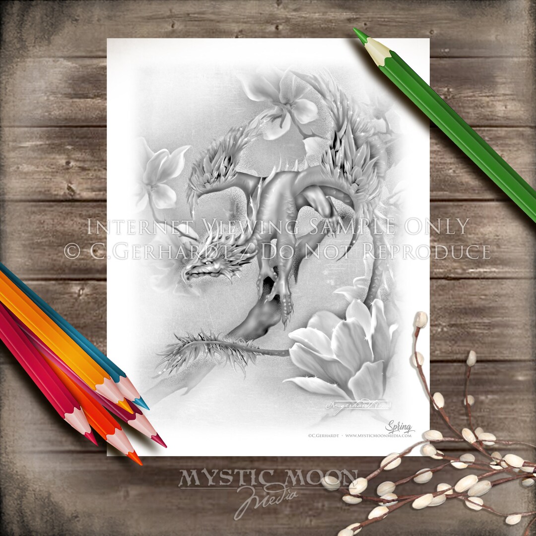 Digital Download Coloring Pages / Dragon Coloring / Grayscale/ Adult ...