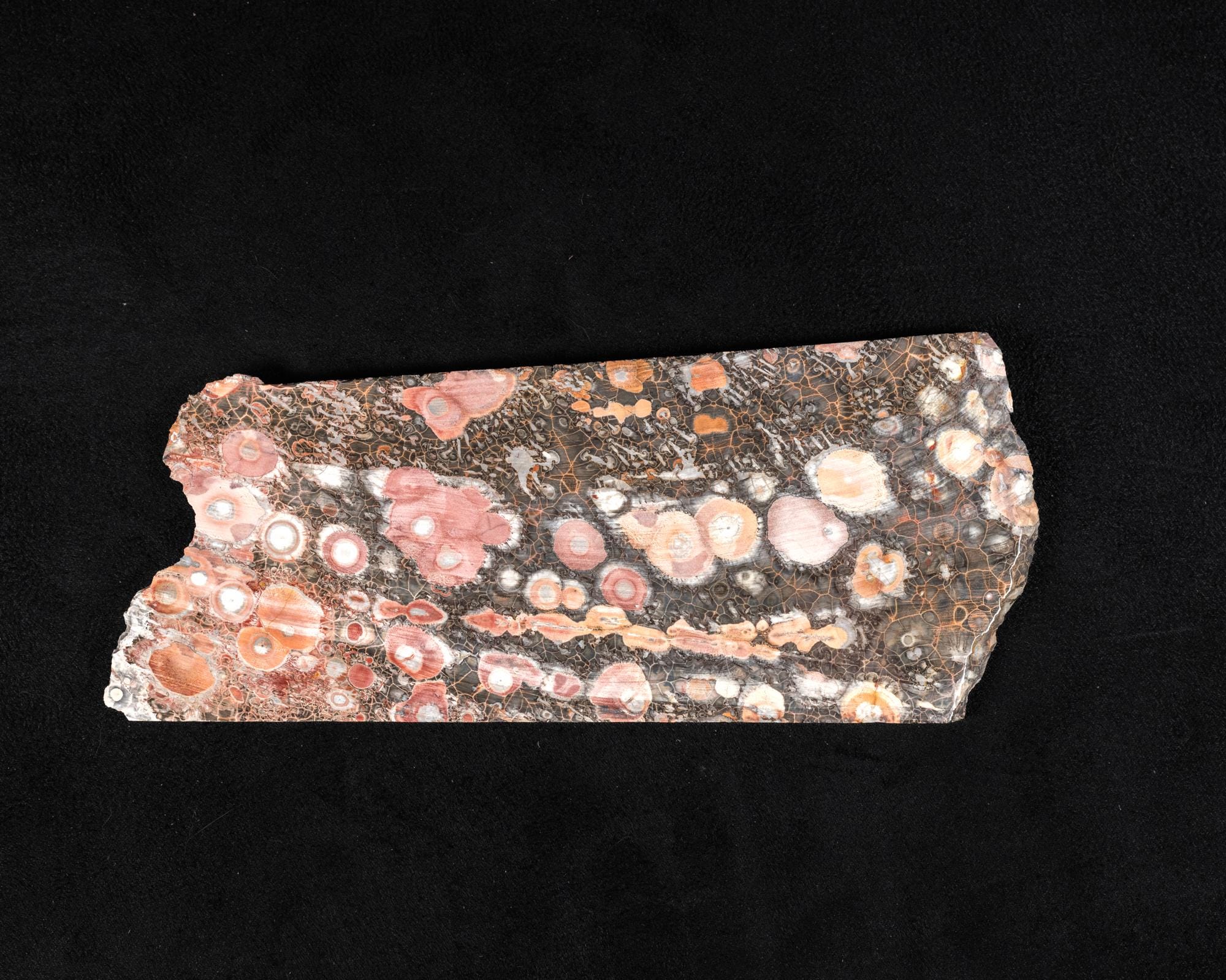 Galaxy Rhyolite Slab, Mirror Polish, Natural, Solar System in a Rock ...