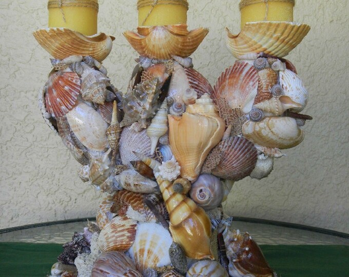 Candelabra, Seashell Candelabra, Wedding Centerpiece, Candle Holder ...