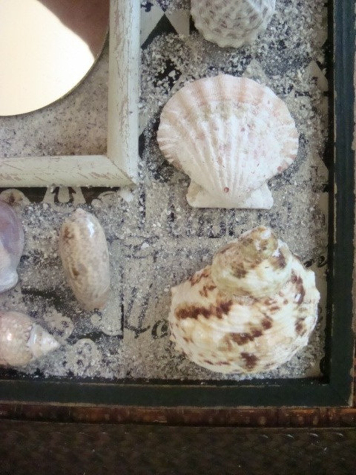 Shell Mirror in Black and Grays, Mirror and Seashells - Etsy
