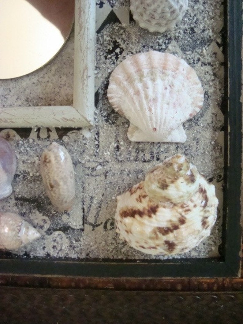 Shell Mirror in Black and Grays, Mirror and Seashells - Etsy