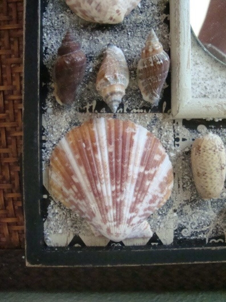 Shell Mirror in Black and Grays, Mirror and Seashells - Etsy