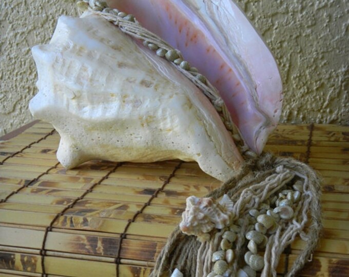 CONCH SHELL HORN Ceremonial, Drum Circle, Wedding, Sunset Celebration ...