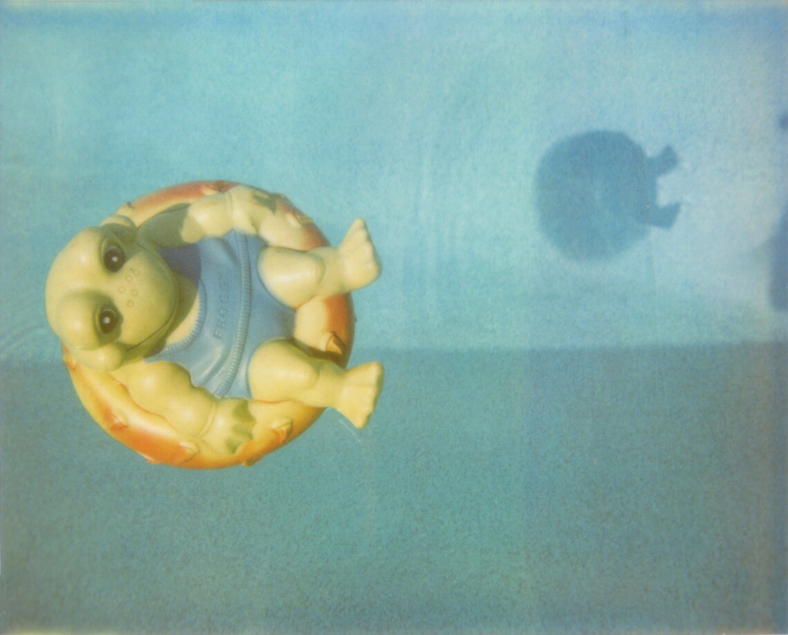 Froggy - 8x10 Retro Fine Art Photography Print, Polaroid Print, Art ...