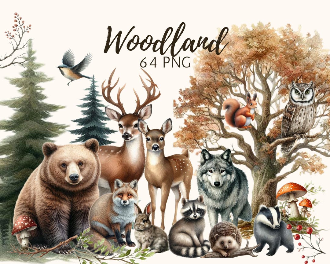 Woodland Animals, Forest Animals PNG, Nursery Clipart, Woodland Babies ...