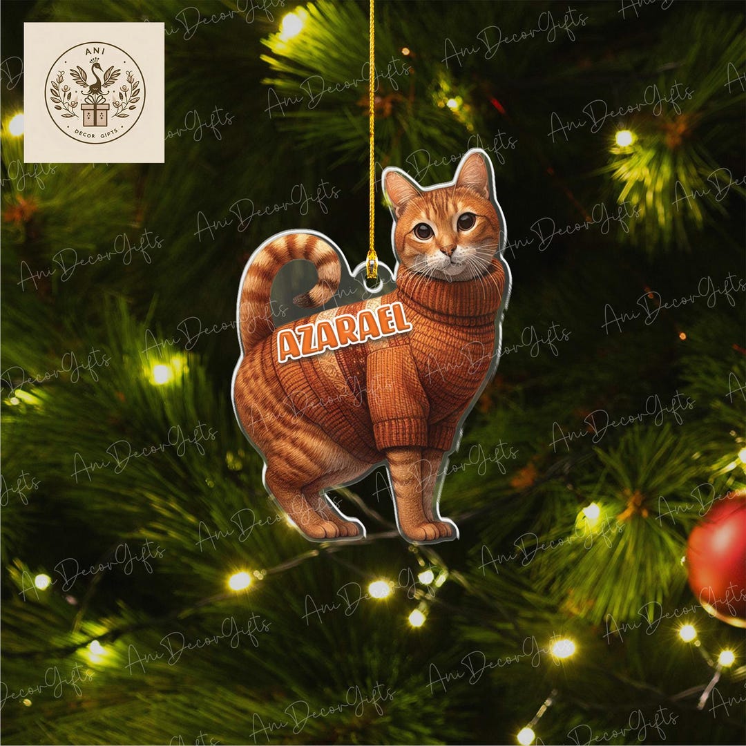 Personalized Orange Cat Christmas Ornament 2024 Custom Name Cat in ...