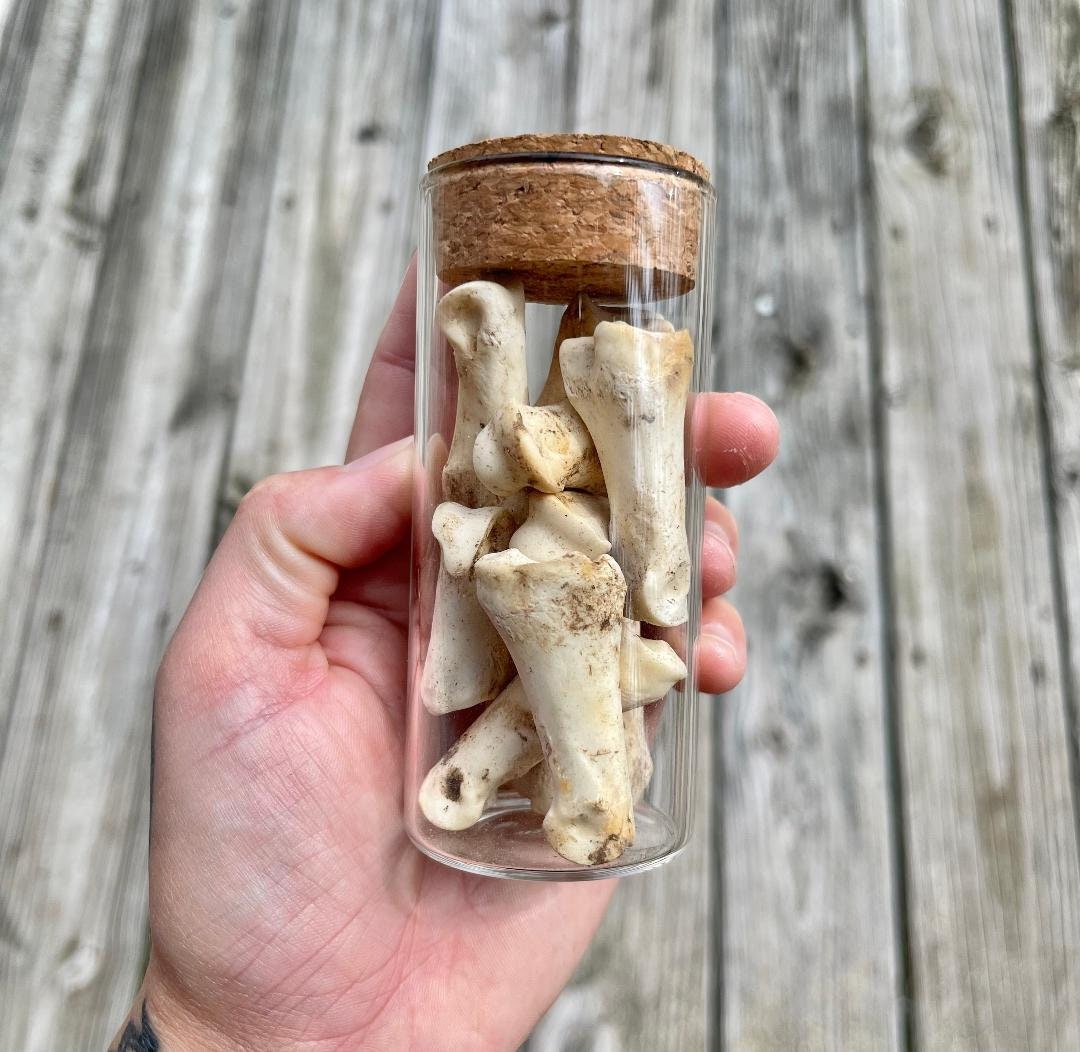 Deer Knuckles - Etsy