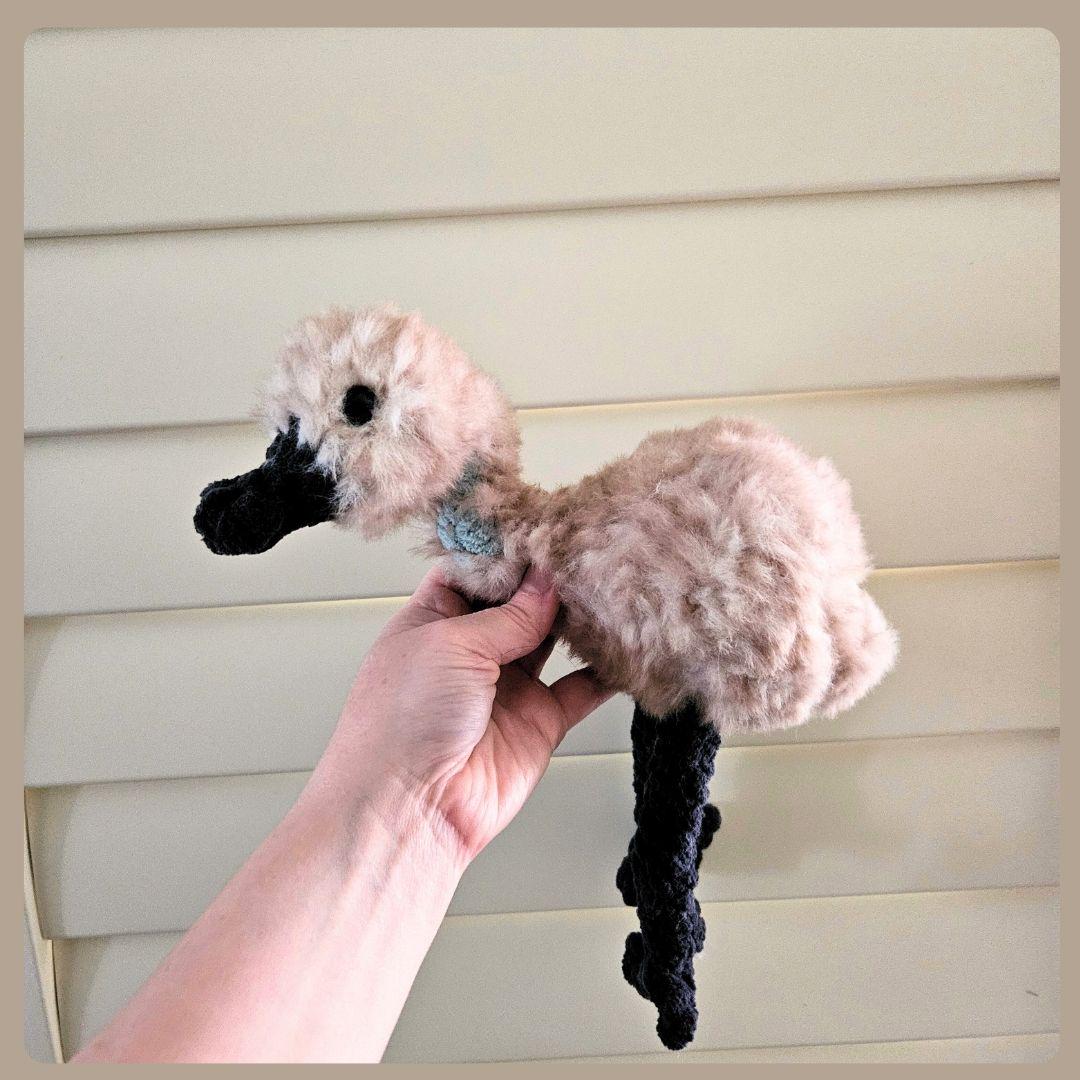 Emu Crochet Pattern - No-sew - Etsy