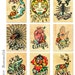 Mexican Folk Art Frog LA RANA Loteria Print 5 X 7, 8 X 10 or 11 X 14 - Etsy