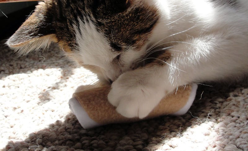 Catnip Cannoli Cat Toy - Etsy
