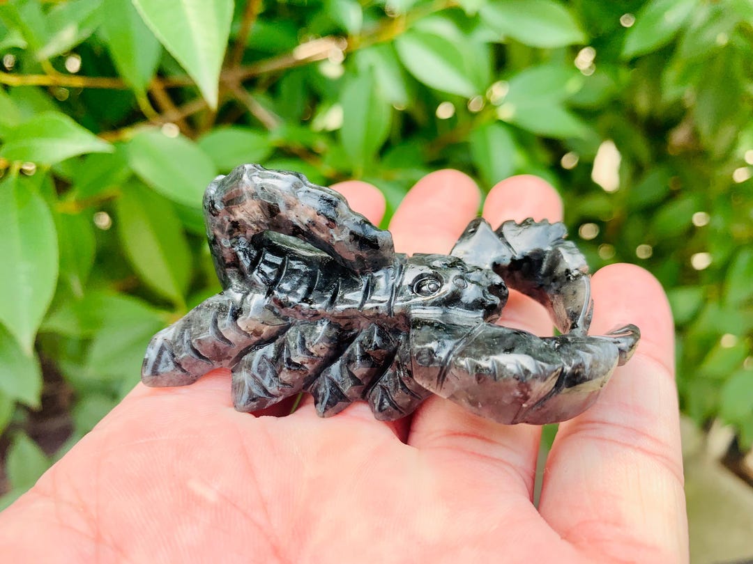 2.7'' Hand-carved Larvikite Scorpion Sculpture, Home Decor, Energy ...