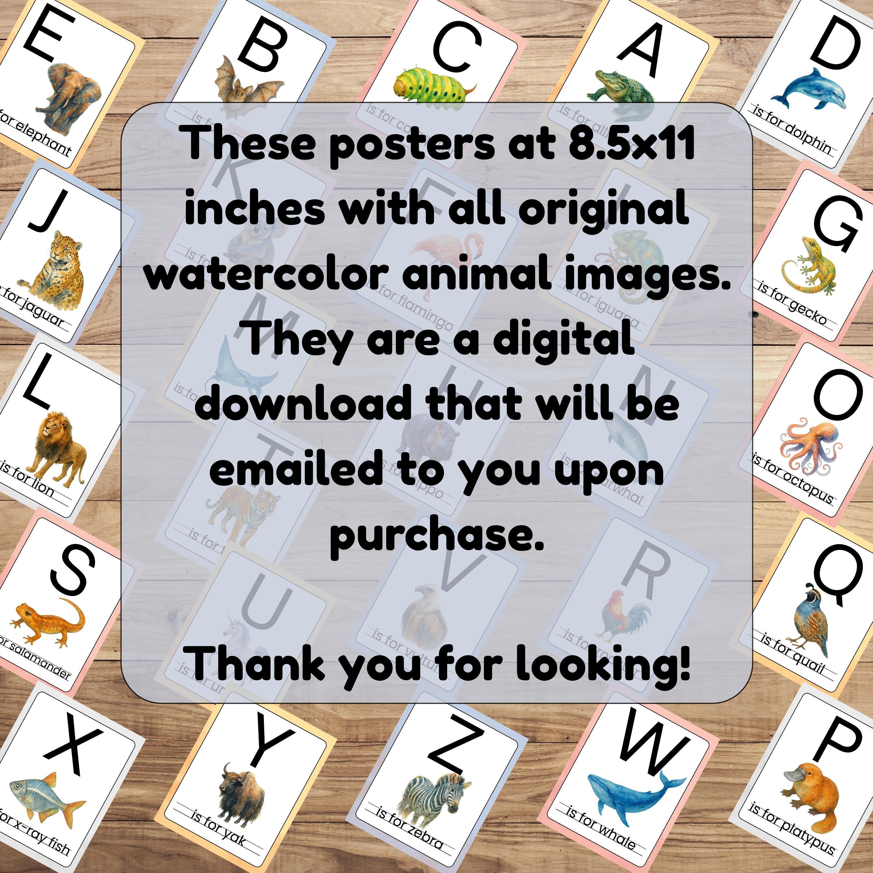 Watercolor Animal Alphabet Flashcards: A-Z Printable (8.5x11” PDF ...