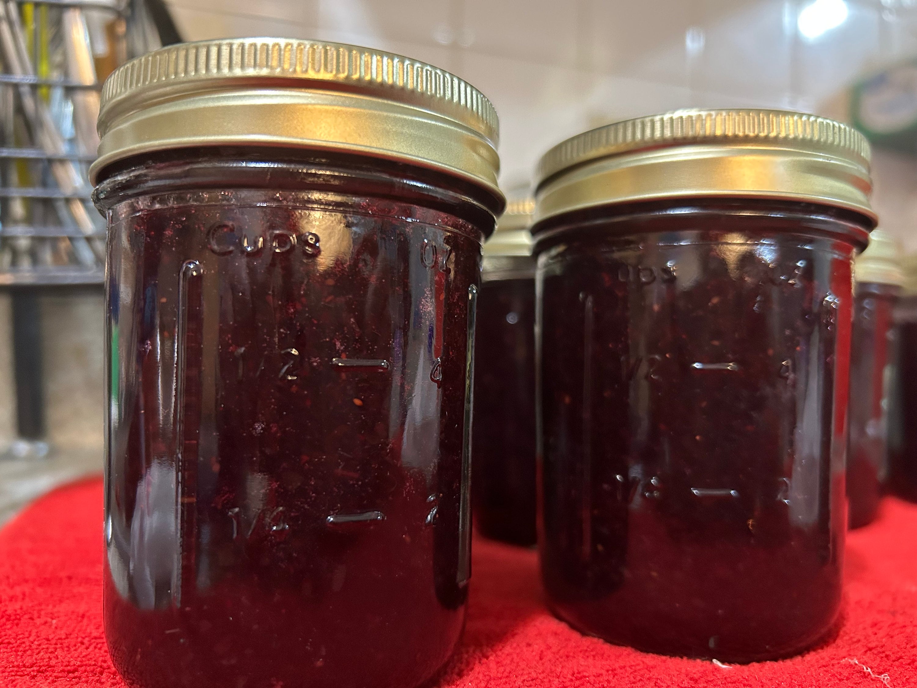 Blueberry Jam - Etsy