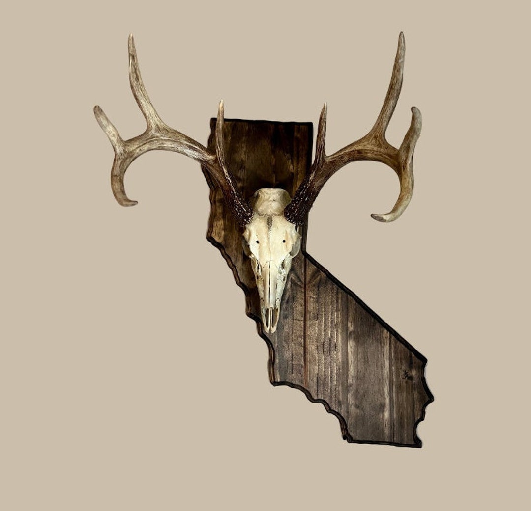 Deer Plaque, State Plaque, Euro Mount, Mounts, Wood Work, Hunting ...