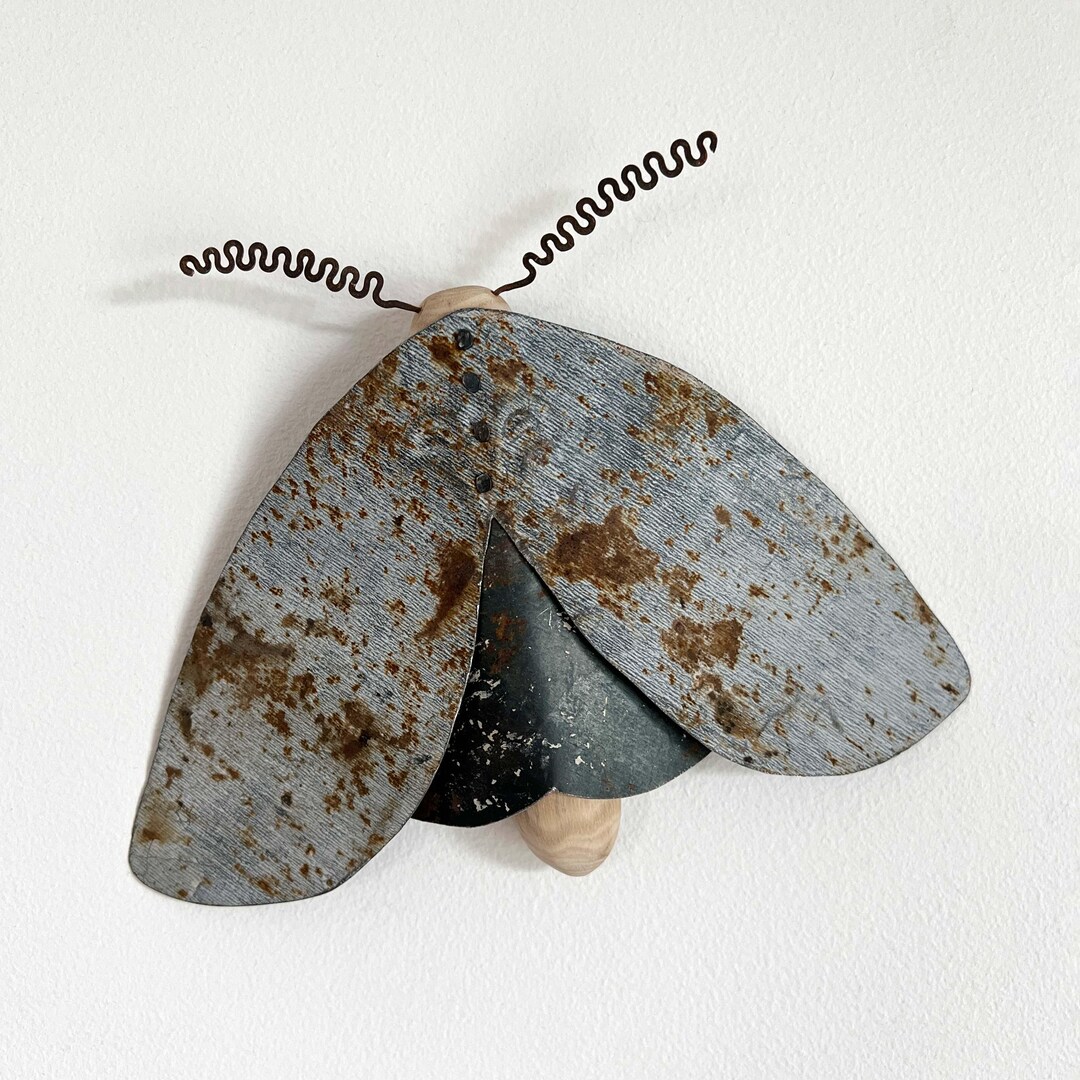Moth Number 14: a Reclaimed Metal and Eucalyptus Timber Artwork Hand ...
