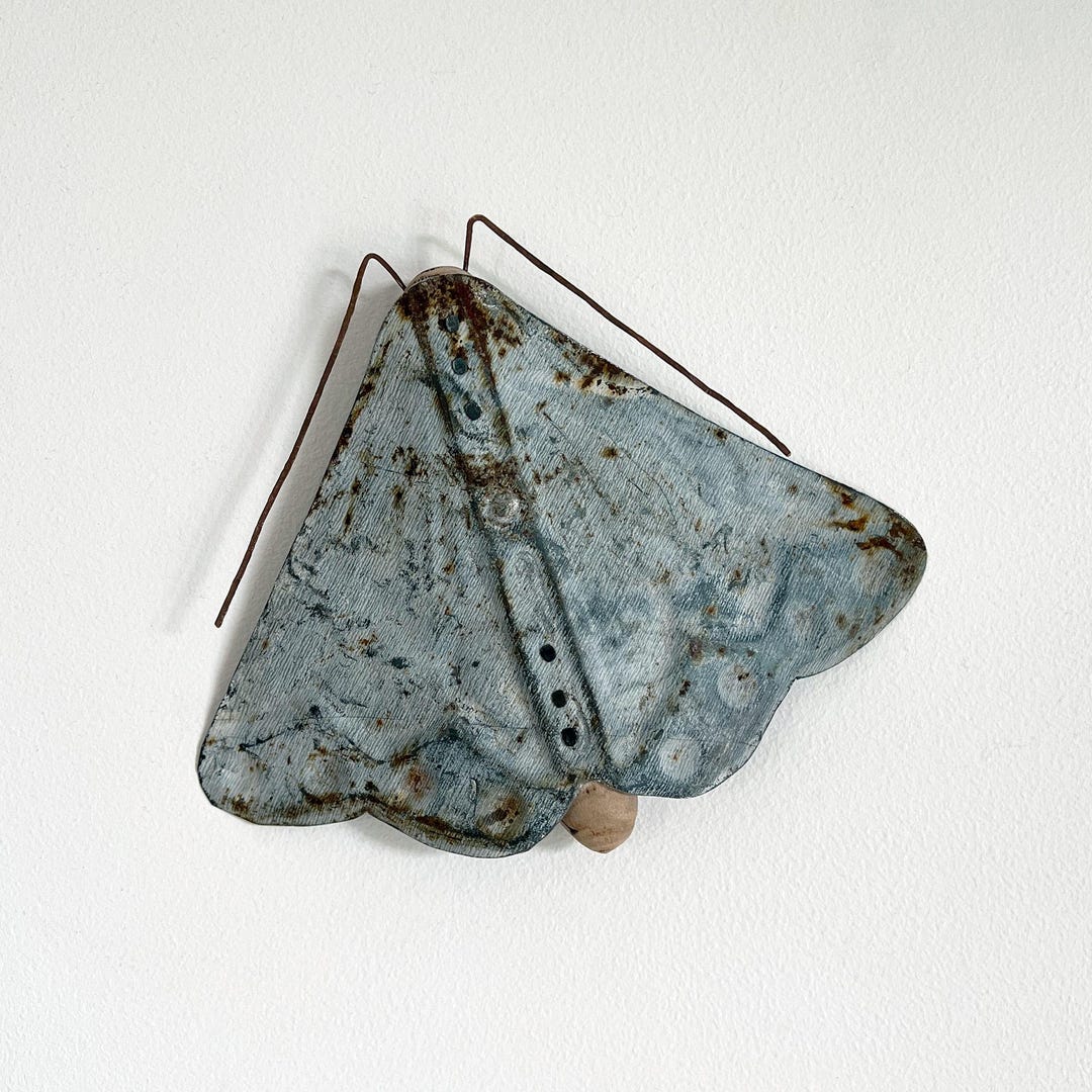 Moth Number 8: a Recycled Steel and Eucalypt Wood Artwork Hand Made by ...