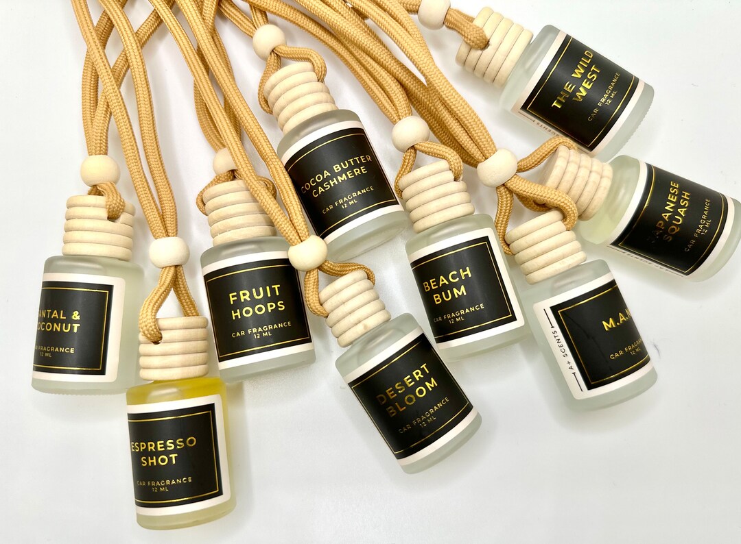 Car Freshener Car Hanging Diffuser - 10 Scents to Choose From - Long Lasting Scent That Lasts up ...