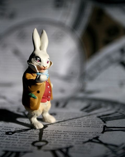 Alice in Wonderland the White Rabbit Photograph Various Sizes - Etsy