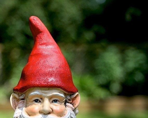Sneaky Gnome Photograph Various Sizes | Etsy