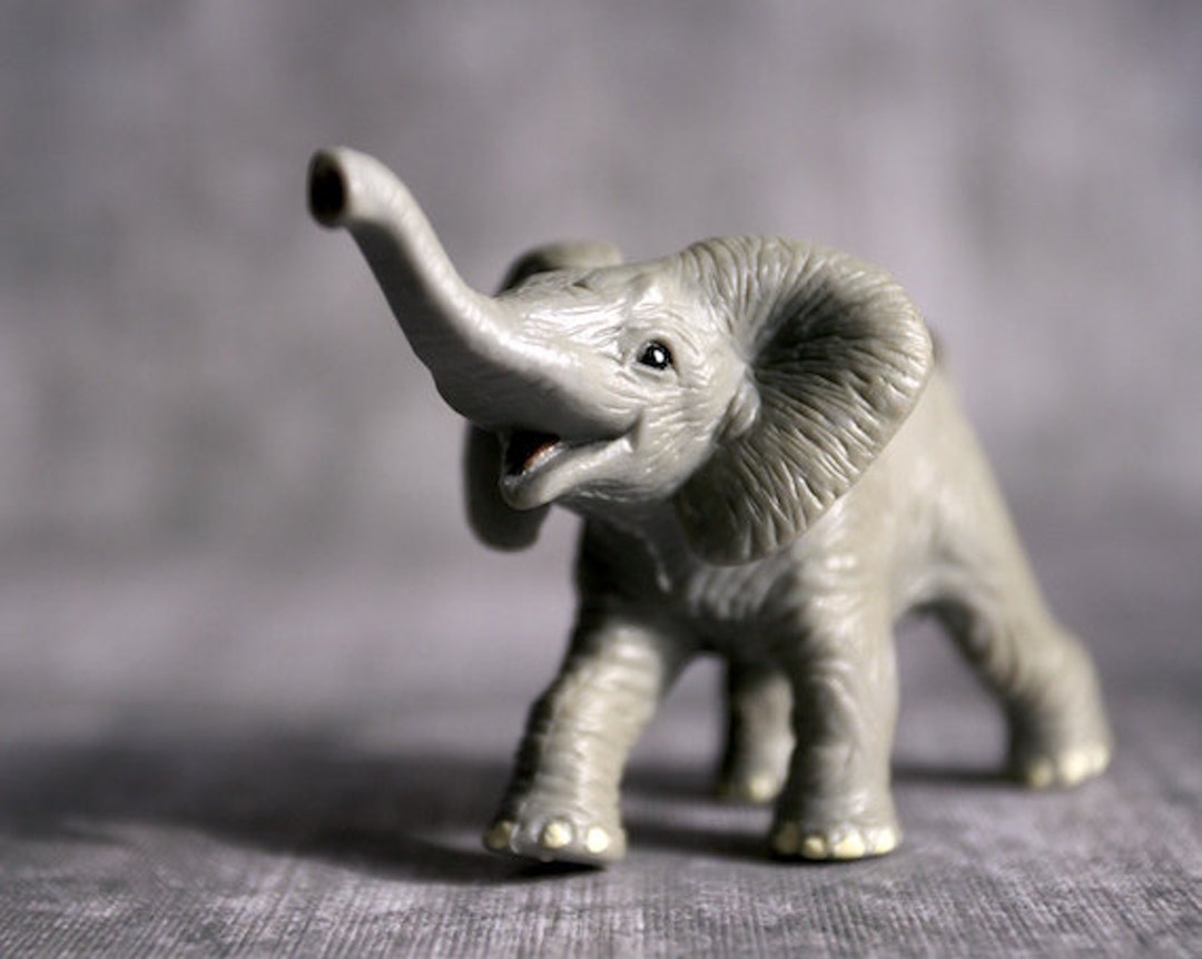 Happy Goodluck Elephant Photograph Various Sizes - Etsy