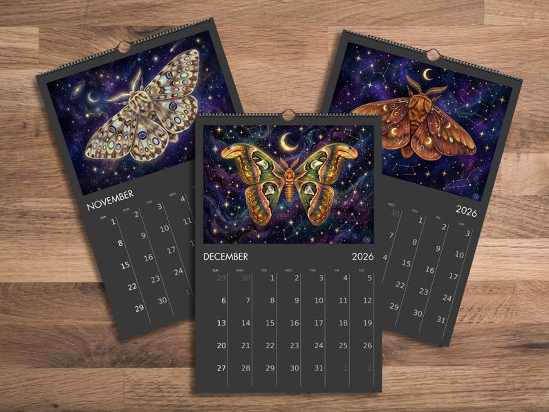 2026 Celestial Moths Wall Calendar, Dark Academia Decor, Witchy Moon ...