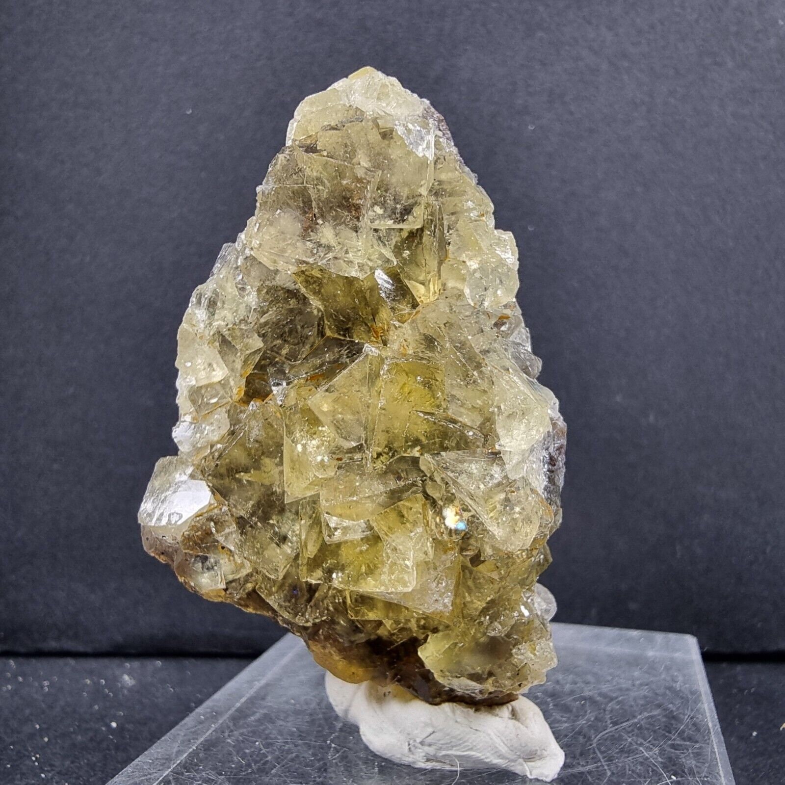 Rare Honey Pocket Fluorite XX Cube Specimen 593028 Mm From Okorusu Mine ...