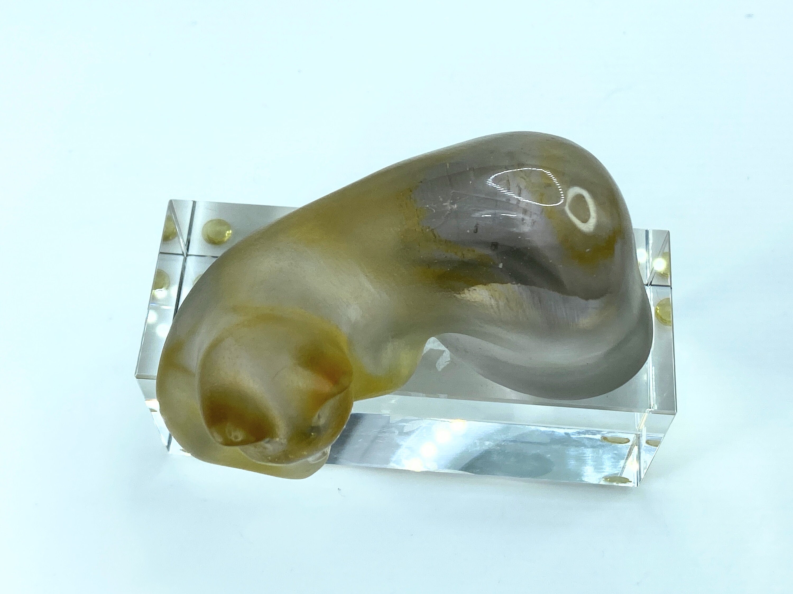 Daum Crystal Cat Amber-grey W/original Box - Etsy