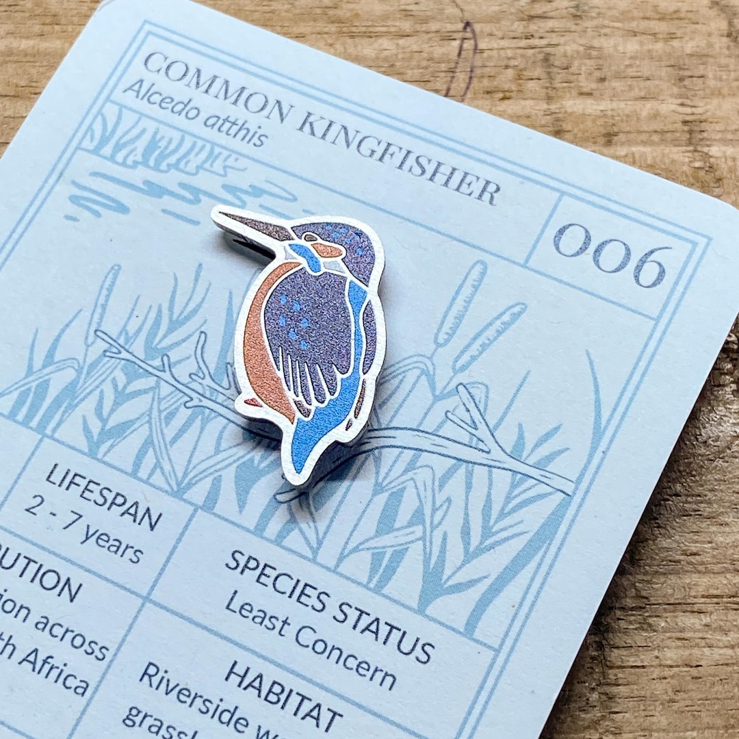 Kingfisher Biodiversity Badge, Bird Pin, Wildlife Pin, Animal Pin ...
