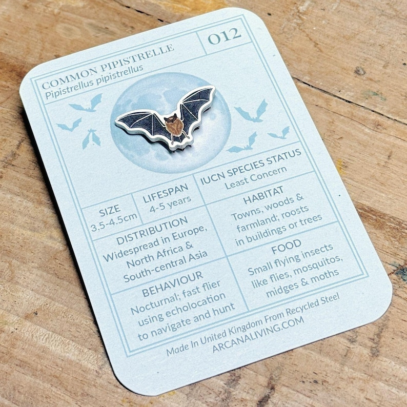 Common Pipestrelle Bat Biodiversity Badge, Recycled Metal Pin Badge ...