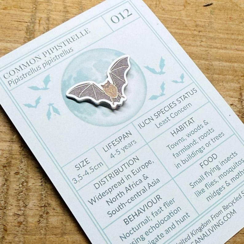 Common Pipestrelle Bat Biodiversity Badge, Recycled Metal Pin Badge ...