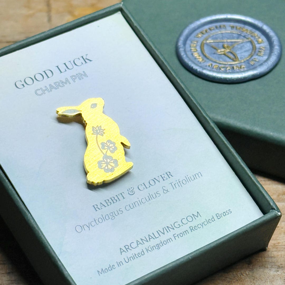Rabbit & Clover Good Luck Pin: Recycled Metal Charm, Nature Gift - Etsy