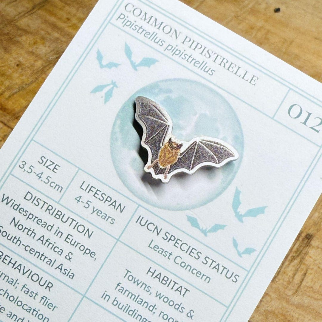 Common Pipestrelle Bat Biodiversity Badge, Recycled Metal Pin Badge ...