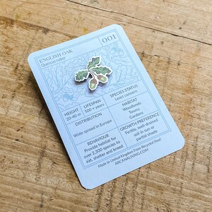 English Oak Pin Badge: Recycled Steel, Nature Lover Gift - Etsy UK